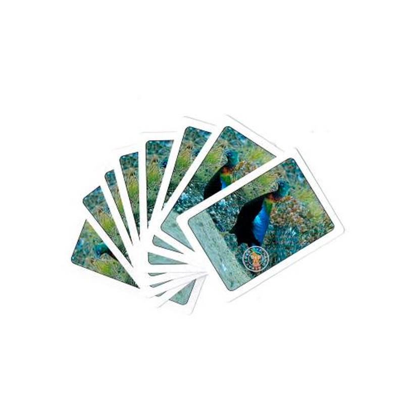 Playing Cards Birds of Nepal (52 Cards Deck) - Send Gifts and Money to ...