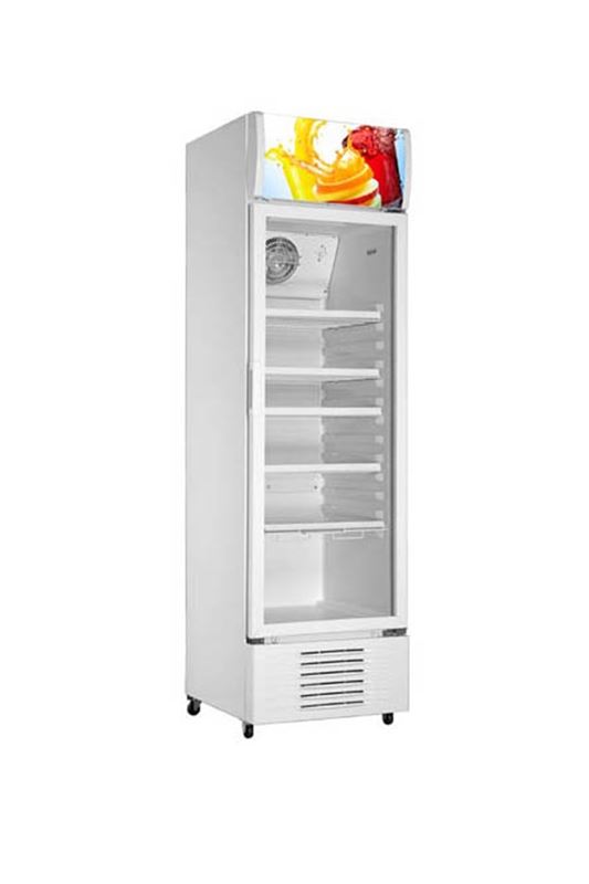 Hisense 382 Ltr Beverage Cooler (FL-50FC4SA) - Send Father's Day Gifts ...