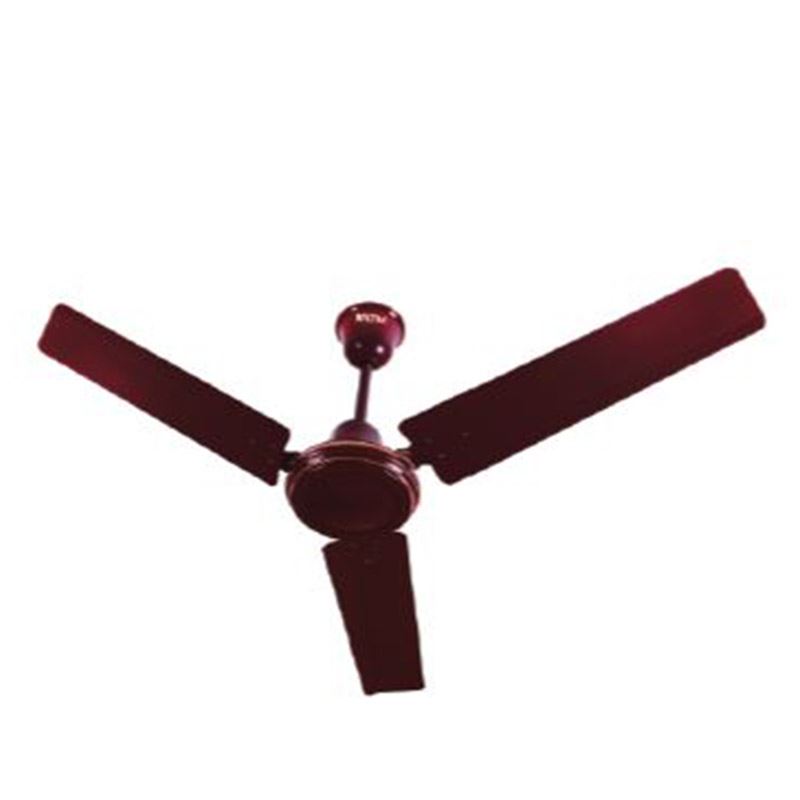 Baltra Spring Ceiling Fan (BF 170) - Send Father's Day Gifts and Money ...