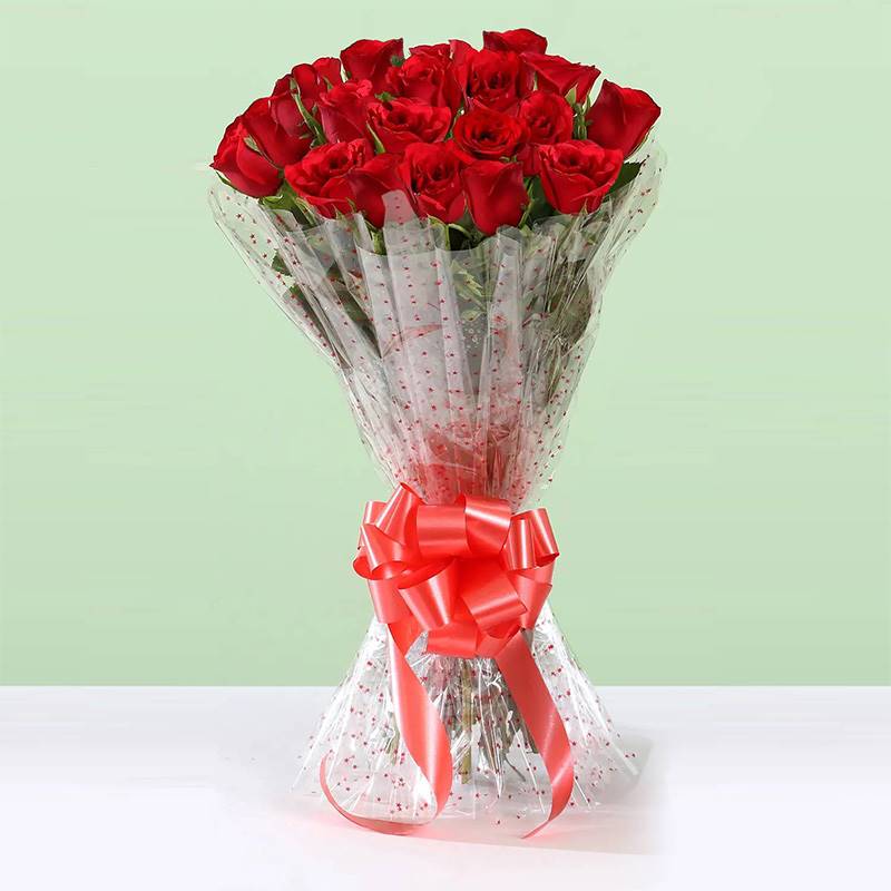 20 Red Roses in Cellophane Packing - Send Gifts and Money to Nepal ...
