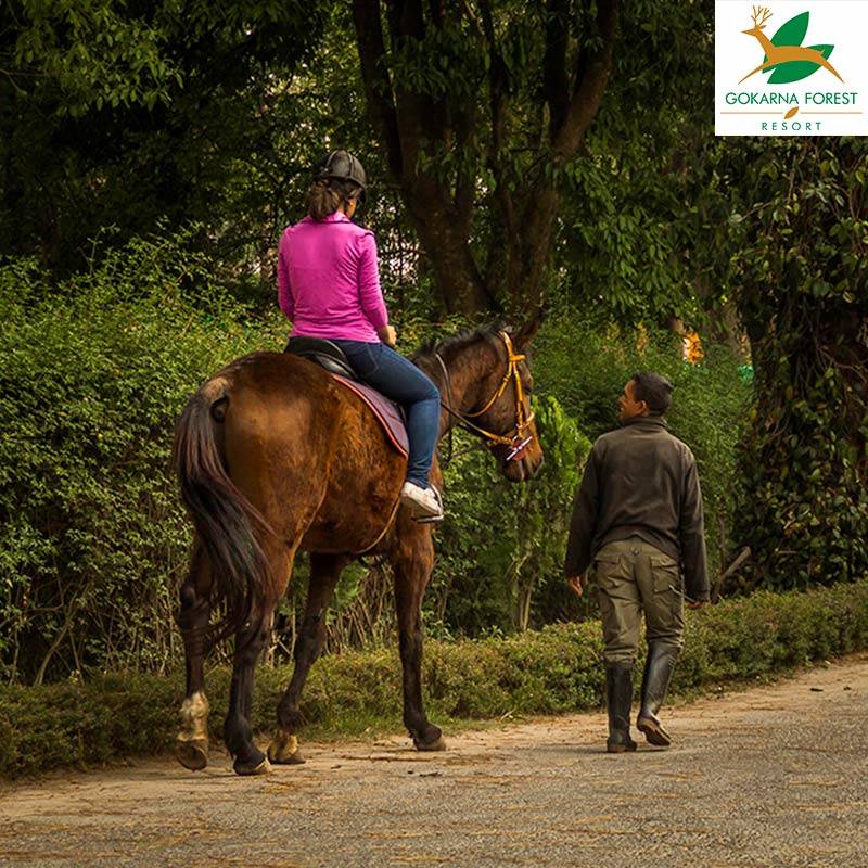 Horse Riding (1 Hour) at Gokarna Forest Resort - Special Experiential ...